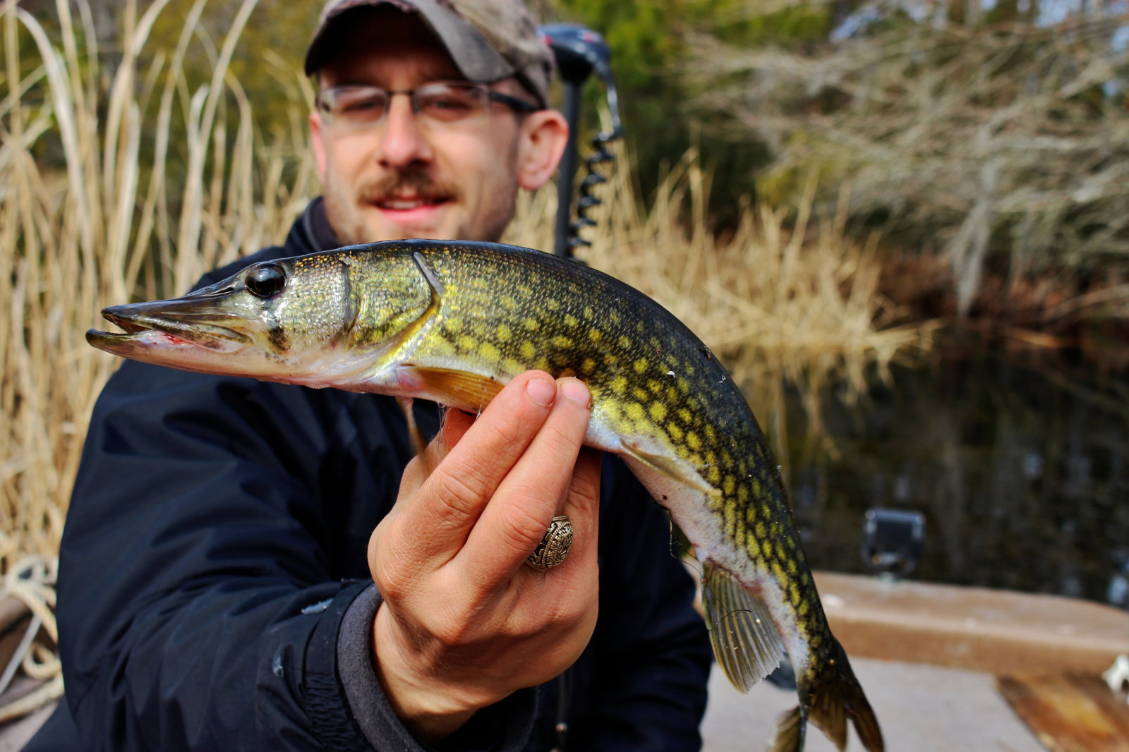 Fishing-Headquarters.com | The Forgotten Esox